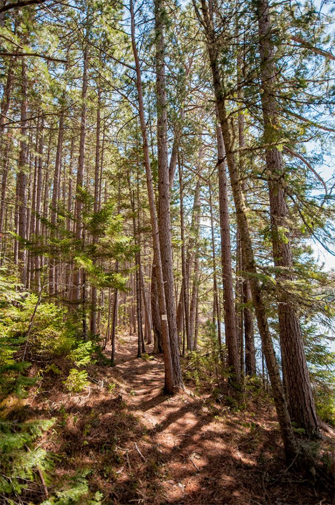 Mount Carleton Provincial Park, New Brunswick, Canada | Camper Cats